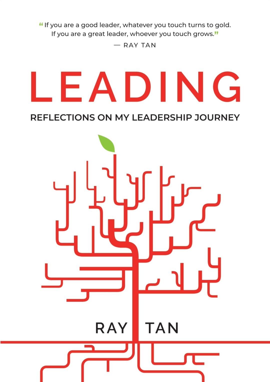 Leading: Reflections on my leadership journey - Candid Creation Publishing